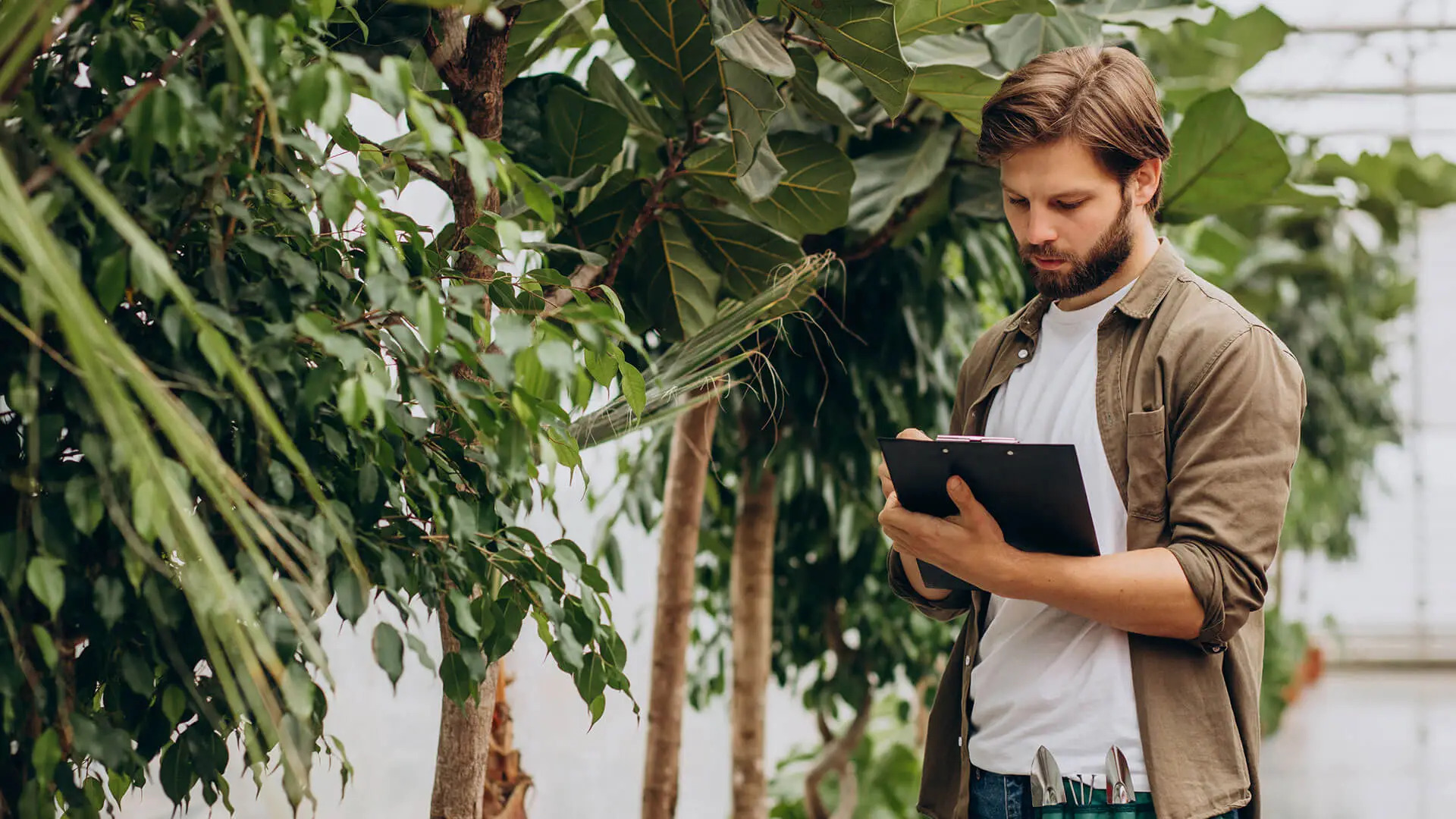 Top Gardening Services in Crouch End